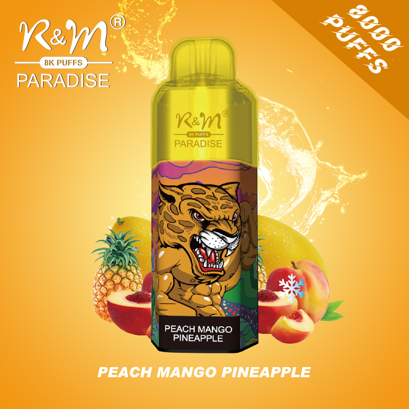 Factory Price R&M PARADISE 8K Disposable Vape 5% Salt Nicotine ...